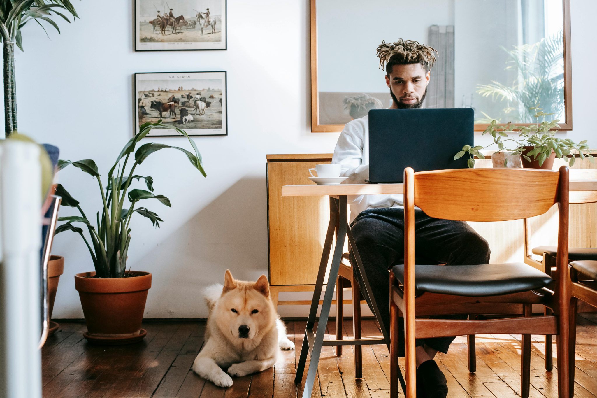 Artificial Intelligence - Revolutionizing Dog Training - Porter Labs